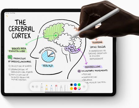 5 Best Tablets for Writers in 2020: Our Editors' Top Picks